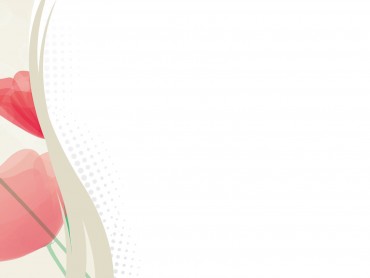 Summer Poppy Flowers Powerpoint Templates - Flowers, Red, Summer ...