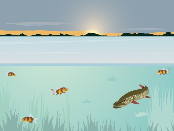 Lake PPT Templates - Free PPT Backgrounds