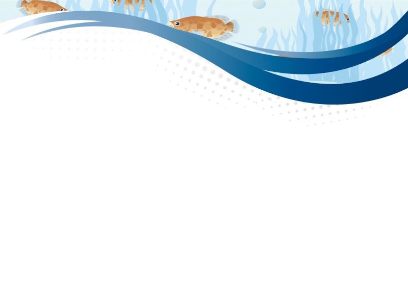 Aquarium Powerpoint Templates - Animals & Wildlife, Blue, Green Backgrounds