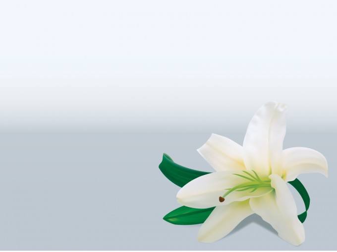 Lily PPT Templates - Free PPT Backgrounds