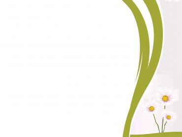 Daisies on Pink Powerpoint Templates - Flowers Backgrounds