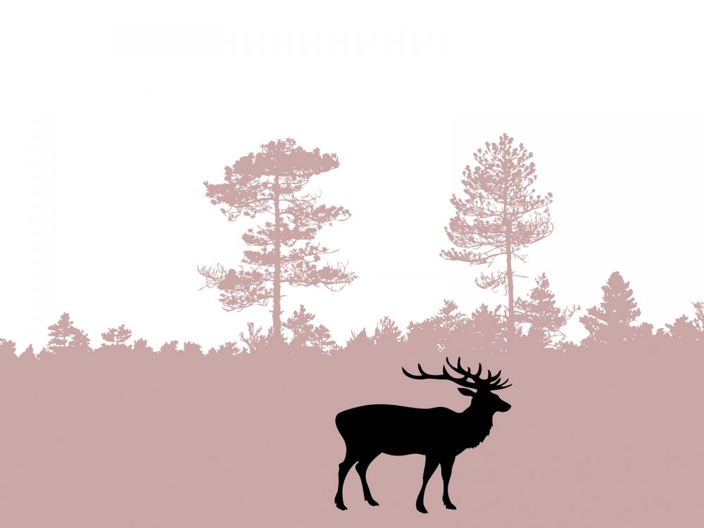 Animals & Wildlife Powerpoint Templates - Free PPT Backgrounds