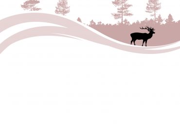 Deer in the Pink Forest Powerpoint Templates - Animals & Wildlife ...