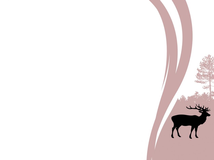 Deer in the Pink Forest Powerpoint Templates - Animals & Wildlife ...