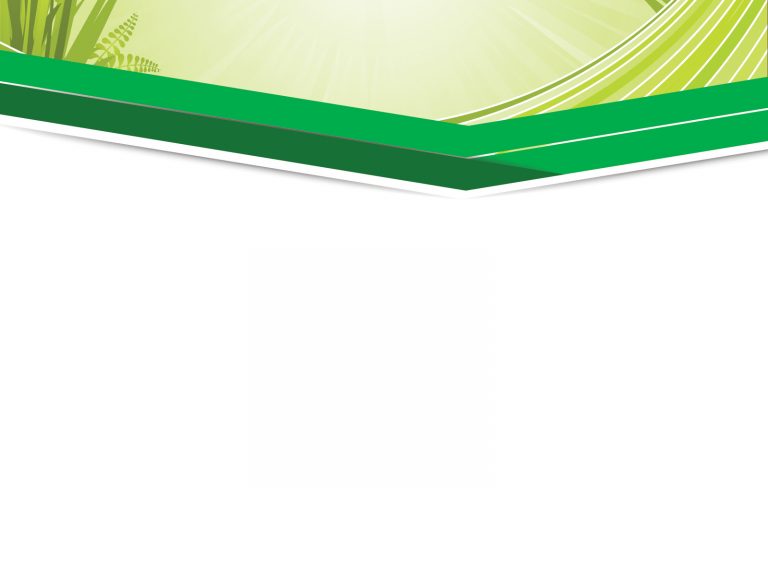 Green Lines and Plants Powerpoint Templates - Green, Nature Backgrounds